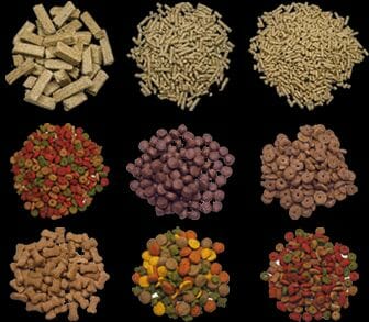 | nutricionista perros