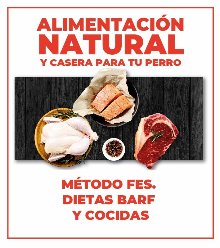 Colitis en tu perro y la mantequilla. ¿Qué tiene que ver? colitis perro