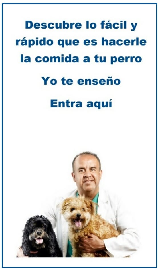 Colitis en tu perro y la mantequilla. ¿Qué tiene que ver? colitis perro